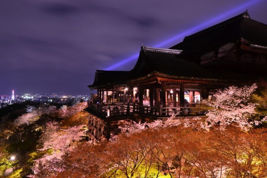 Higashiyama | Kyoto: Sakura Season Private Rickshaw Tour - Who Should Consider This Tour?