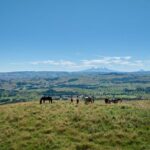 High Country Enchantment Full-Day Horse Trek - Who Will Love This Tour?