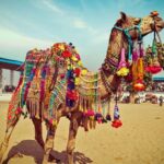 Historical, Exclusive, Delhi with Jaipur Tour (03 Days) - Whats Included and How It Works