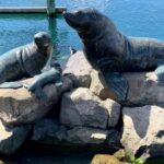 Hobart Discovery Experience - Detailed Breakdown of the Itinerary