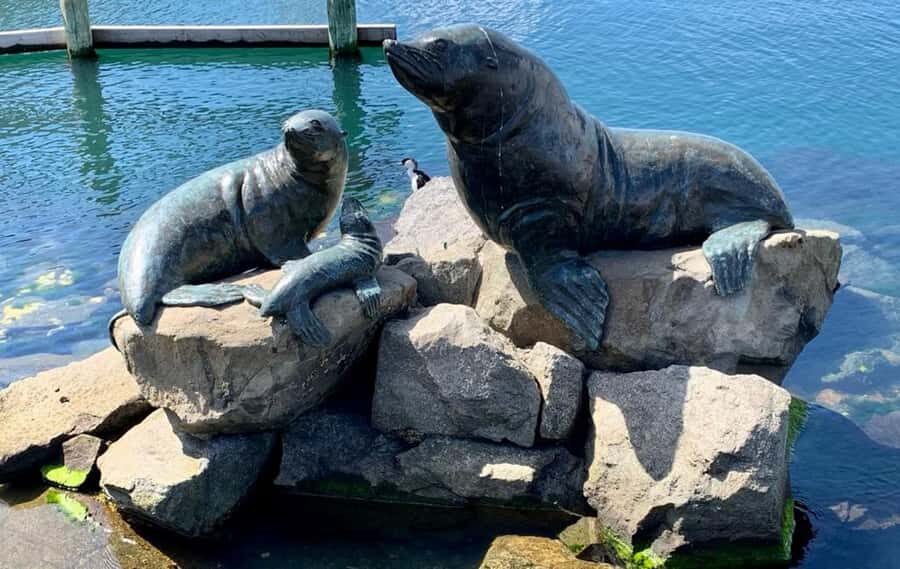 Hobart Discovery Experience - Detailed Breakdown of the Itinerary