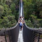 Hobart: Tahune Airwalk, Hastings Cave, Thermal Springs Tour - Who Will Love This Tour?