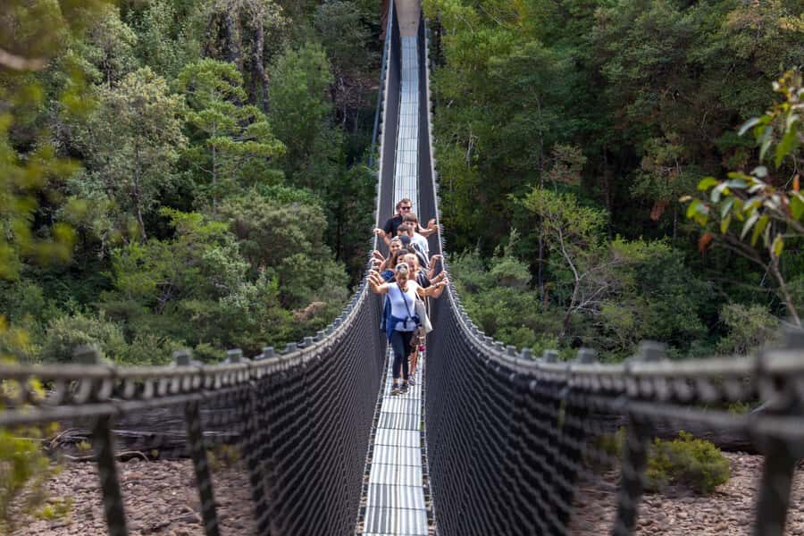 Hobart: Tahune Airwalk, Hastings Cave, Thermal Springs Tour - Who Will Love This Tour?