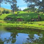 Hobbiton Small group Luxury Tour including McLarens Falls Park - Who Will Love This Tour?