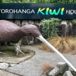 Hobbiton, Waitomo Caves and Kiwi House Day Tour From Auckland - Itinerary Breakdown: What to Expect