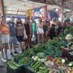 Hoi An Cooking Class With Local Market - Basket Boat Ride - Exploring the Itinerary in Detail