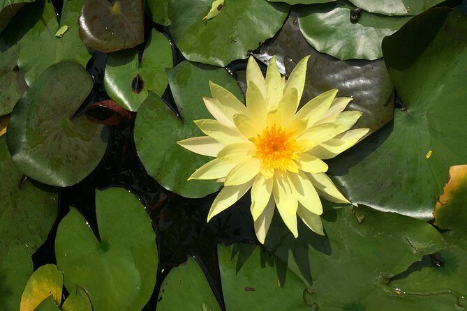 Hoi An countryside adventure by Jeep - A Detailed Look at the Itinerary