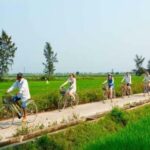 Hoi An: Countryside Half-Day Guided Bike Tour - A Closer Look at the Itinerary