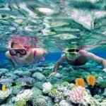 Hoi An/Da Nang: Cham Islands Snorkeling by Speedboat w Lunch - Practical Considerations and Value