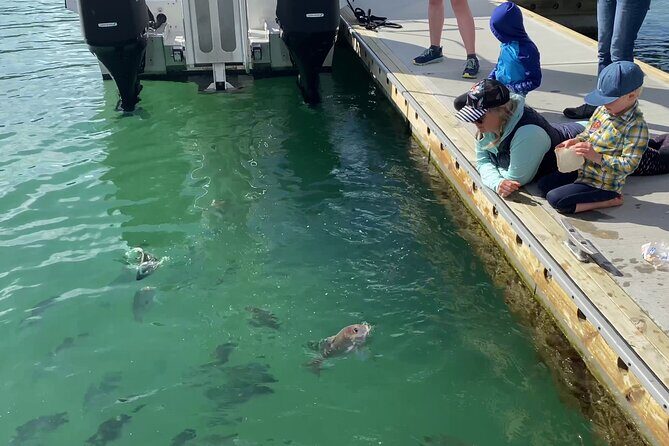 Hole in the Rock Cruise & Island Stopover (Half Day) - Island Stopovers & Lookout Walks