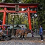 Horse Carriage Ride with Mt. Fuji Views - The Ethical and Cultural Layer
