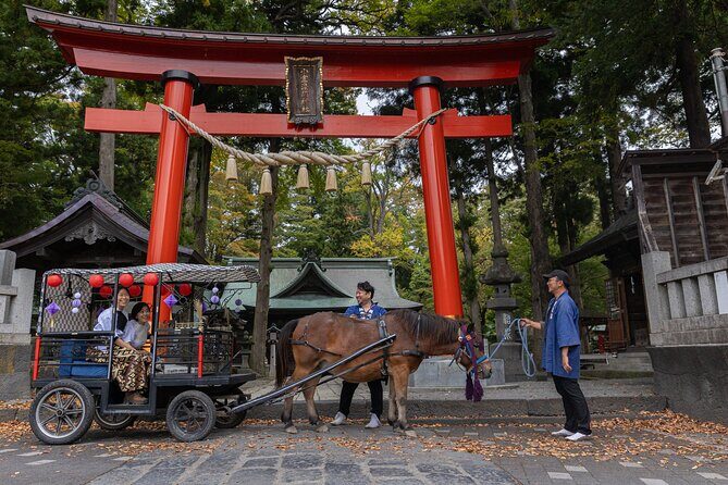 Horse Carriage Ride with Mt. Fuji Views - The Ethical and Cultural Layer