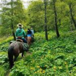 Horse Riding in Ala Archa National Park - Who Should Consider This Tour?