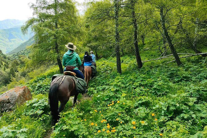 Horse Riding in Ala Archa National Park - Who Should Consider This Tour?