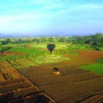 Hot Air Ballooning from Habarana - What’s Included and What’s Not