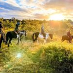 Hunter Valley Sunset Horse Ride - 90 Minutes - What to Expect During the Sunset Horse Ride