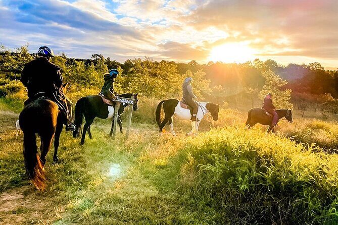 Hunter Valley Sunset Horse Ride - 90 Minutes - What to Expect During the Sunset Horse Ride