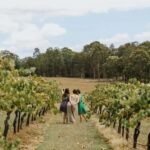 Hunter Valley: Tastes of the Hunter Half Day Tour - What We Loved