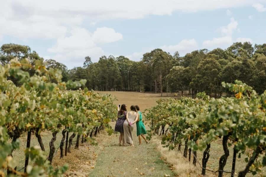 Hunter Valley: Tastes of the Hunter Half Day Tour - What We Loved