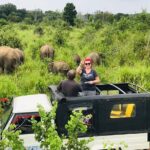Hurulu Eco Park Half Day Safari - What to Expect: A Typical Safari Experience