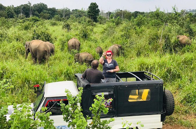 Hurulu Eco Park Half Day Safari - What to Expect: A Typical Safari Experience