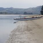 Iconic Dunedin Coastal Tour by Minibus with Maori Cultural Walk - What You Can Expect for the Price