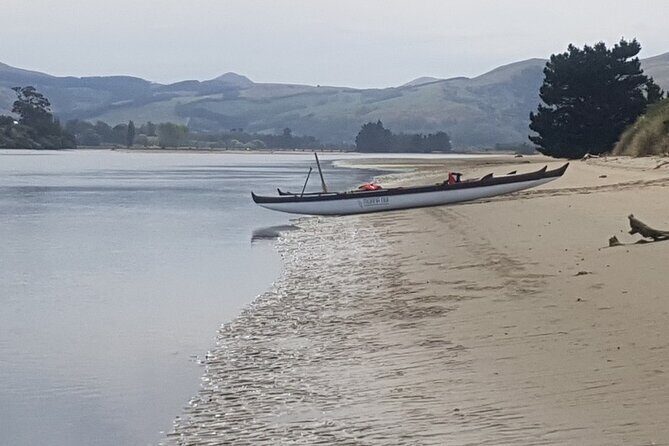 Iconic Dunedin Coastal Tour by Minibus with Maori Cultural Walk - What You Can Expect for the Price