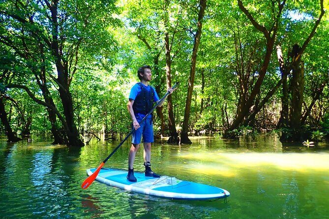 Ishigaki Mangrove Canoe / SUP & Taketomi Island Exploration - Who Should Consider This Tour?
