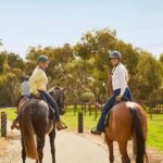 Jacobs Creek Vineyard Horse Ride and Tasting - Why This Tour Works Well