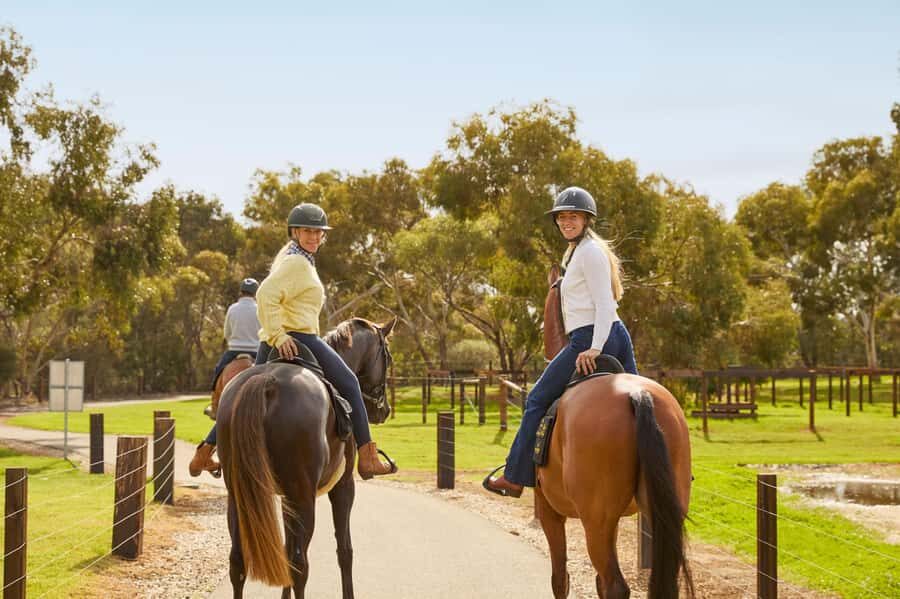 Jacobs Creek Vineyard Horse Ride and Tasting - Why This Tour Works Well