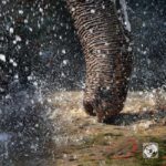 Jaipur: Amer fort, Hawa Mahal and Elefantastic Jaipur Tour - Exploring Jaipur’s Architectural Marvels