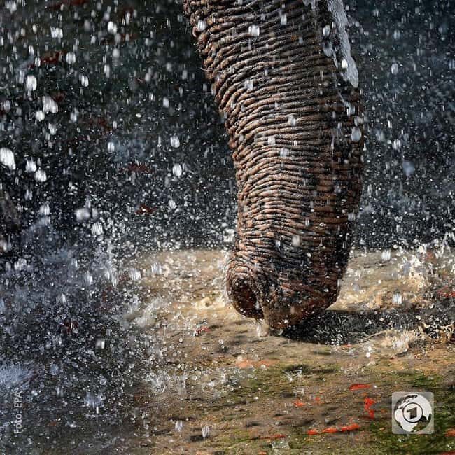 Jaipur: Amer fort, Hawa Mahal and Elefantastic Jaipur Tour - Exploring Jaipur’s Architectural Marvels