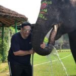 Jaipur: City Tour With Elephant Interaction - Key Points