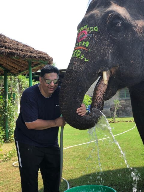 Jaipur: City Tour With Elephant Interaction - Key Points