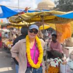 Jaipur: Half-Day City Tour - Explore Heritage & Highlights - Who Will Love This Tour?