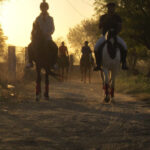 Jaipur Horse Riding Adventure - The Marwari Horses: More Than Just a Ride