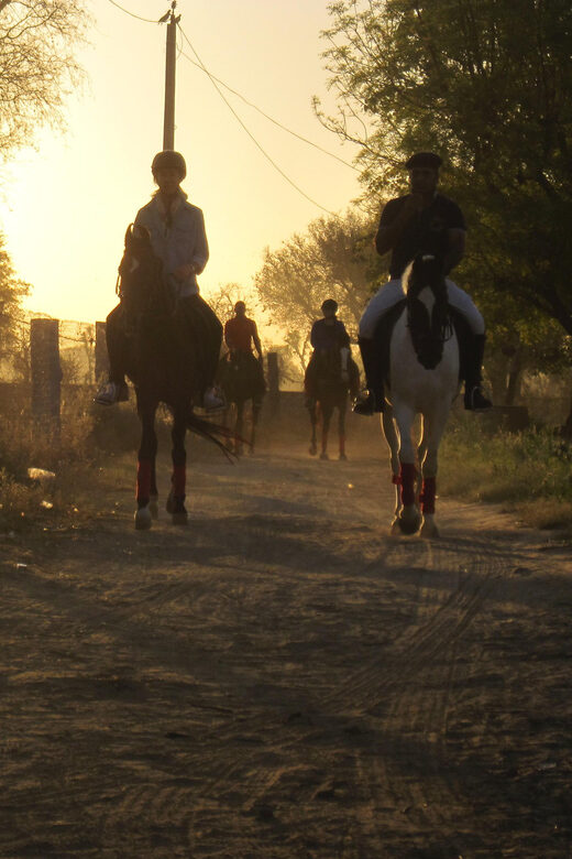 Jaipur Horse Riding Adventure - The Marwari Horses: More Than Just a Ride