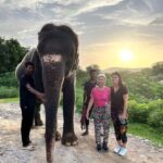 Jaipur: Private Elephant Sanctuary - The Practicalities: What You Need to Know
