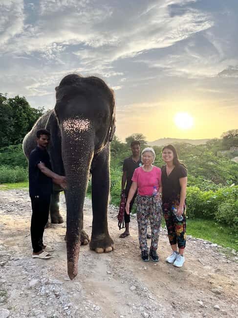 Jaipur: Private Elephant Sanctuary - The Practicalities: What You Need to Know