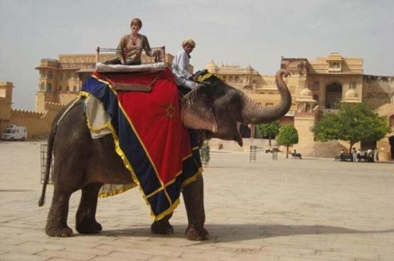 Jaipur Tour ( Pink City ) by Car From Delhi - All Inclusive - What Makes This Tour Stand Out