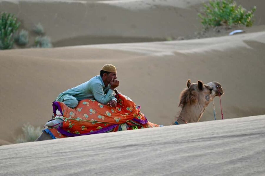 Jaisalmer: Desert Camp with Camel Ride and Cultural Show - Arriving and Starting Your Desert Adventure