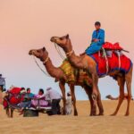 Jaisalmer Sam: Sunset Camel Safari & Cultural Program - The Real Value of This Tour