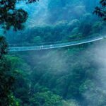 Jakarta Rainforest Hiking to Hidden Waterfall & Suspension Bridge - Why This Tour Is Worth It