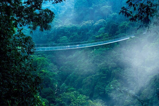 Jakarta Rainforest Hiking to Hidden Waterfall & Suspension Bridge - Why This Tour Is Worth It