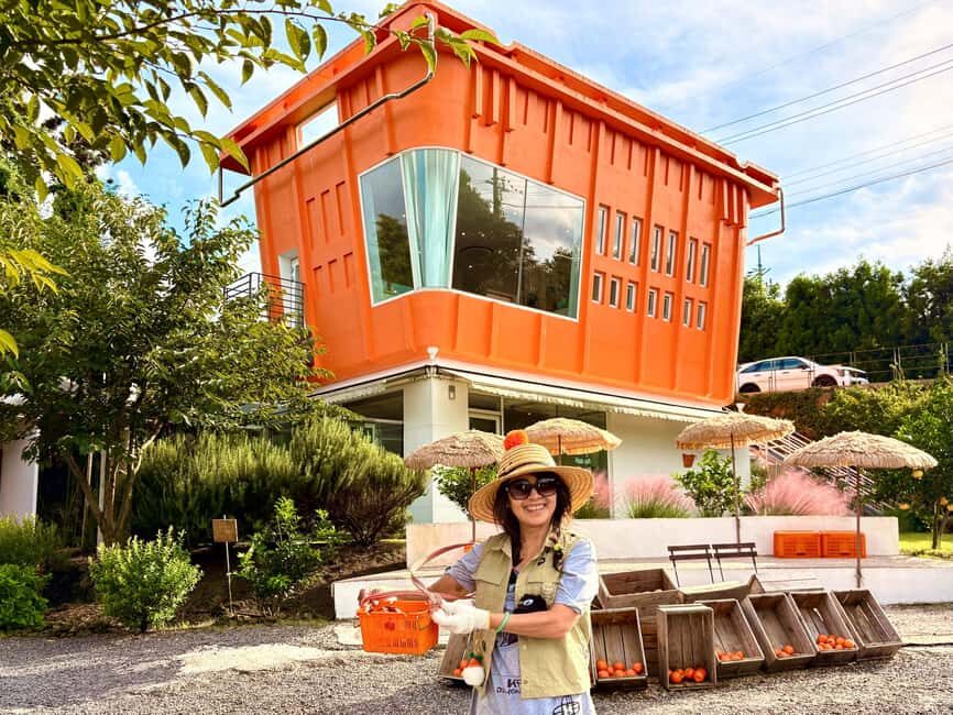 Jeju East: Small Group Healing Tour w/Woman Divers Show - Exploring Jeju East: A Detailed Review