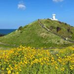 Jeju East Small Group Tour Cherry Blossom & Woman Diver Show - What Travelers Are Saying