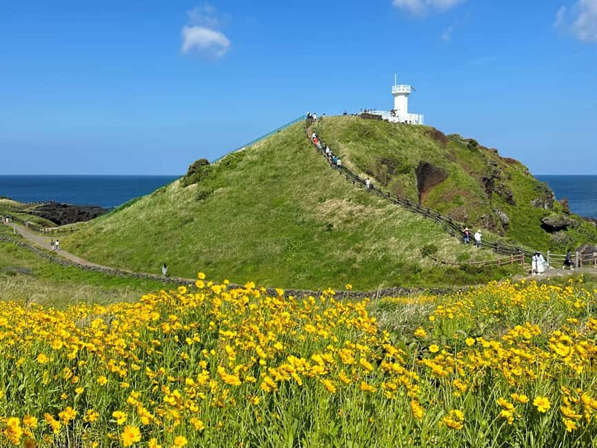Jeju East Small Group Tour Cherry Blossom & Woman Diver Show - What Travelers Are Saying
