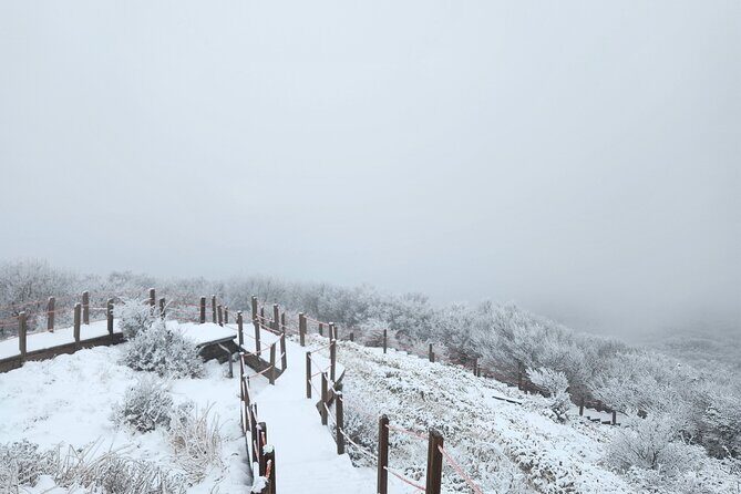 Jeju island Southern UNESCO Day Tour With Hallasan MT - Final Thoughts