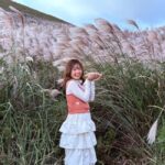 Jeju: Small Group Tour w/Pink Muhly & Tangerine Picking - Exploring Jeju’s Autumn Magic