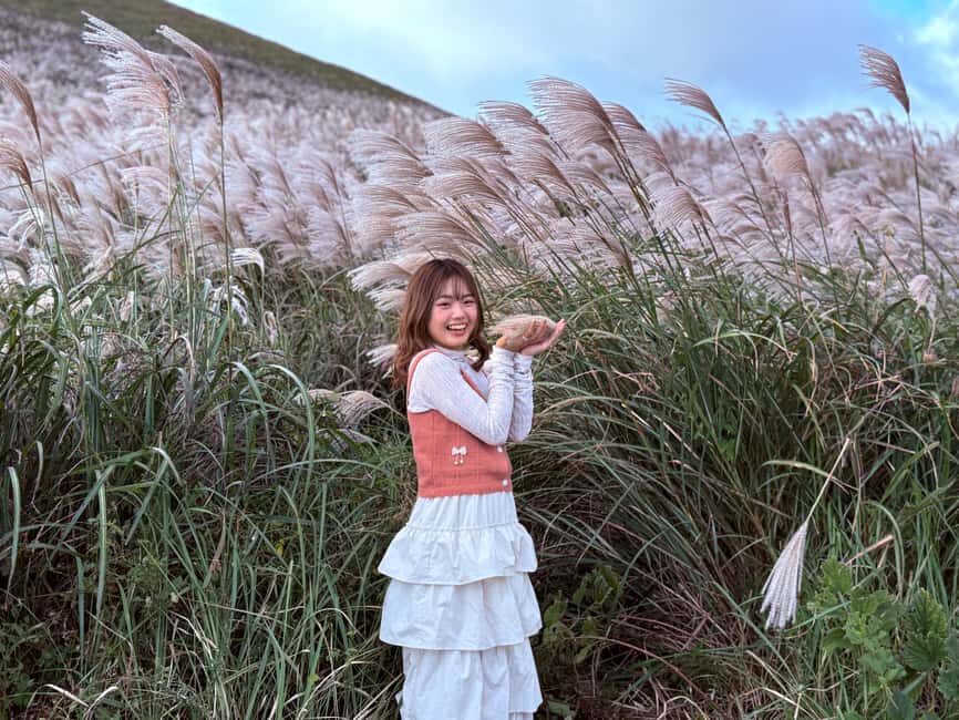 Jeju: Small Group Tour w/Pink Muhly & Tangerine Picking - Exploring Jeju’s Autumn Magic